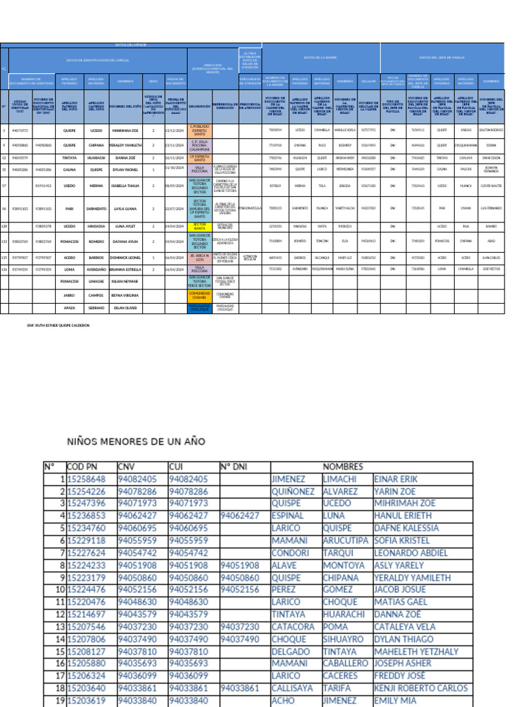 Reporte de Niños Menores de Un Año Con Corte A 31-12-2024 | PDF ...