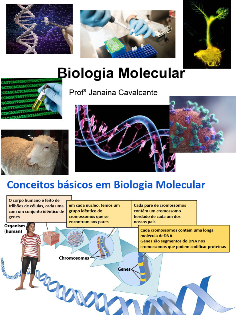 Cópia de AULA 1 de Biomol 2024-AULA Janaina.pptx | PDF | RNA | DNA