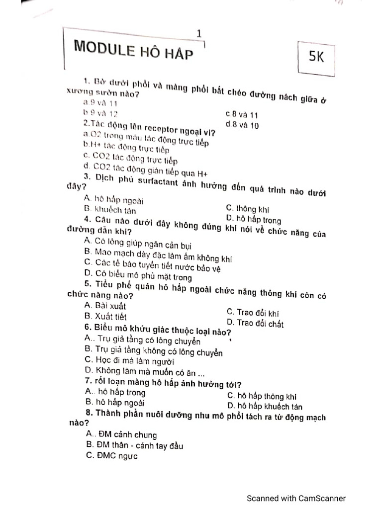 Test modul hô hấp | PDF