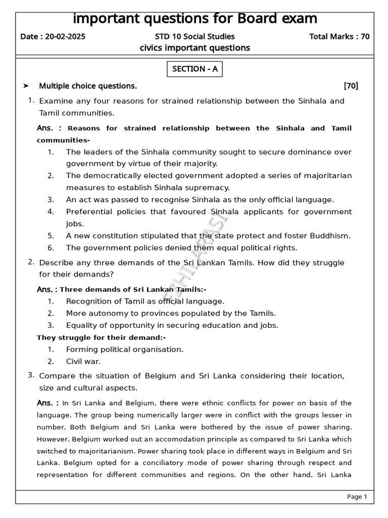 Class 10 Civics Annual Rev 1_solution | PDF | Affidavit | Government
