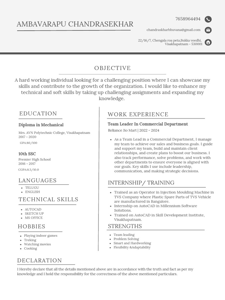 Gray and White Simple Clean Resume_20250206_093906_0000 | PDF | Cognition