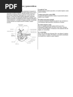 Anatomía y Clasificación del Colédoco | PDF | Vesícula biliar ...
