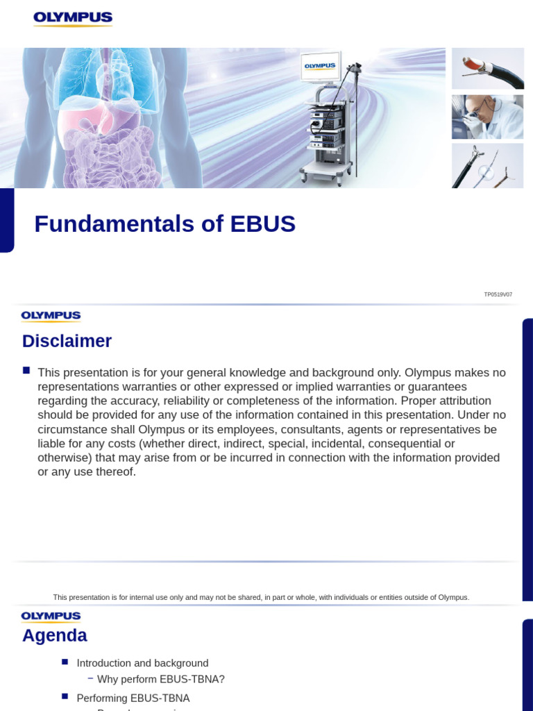 EBUS Course Presentation | PDF