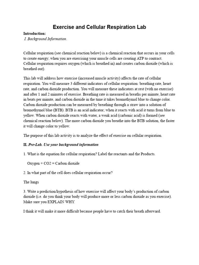 Impact of Exercise on Cellular Respiration | PDF | Breathing | Cellular ...