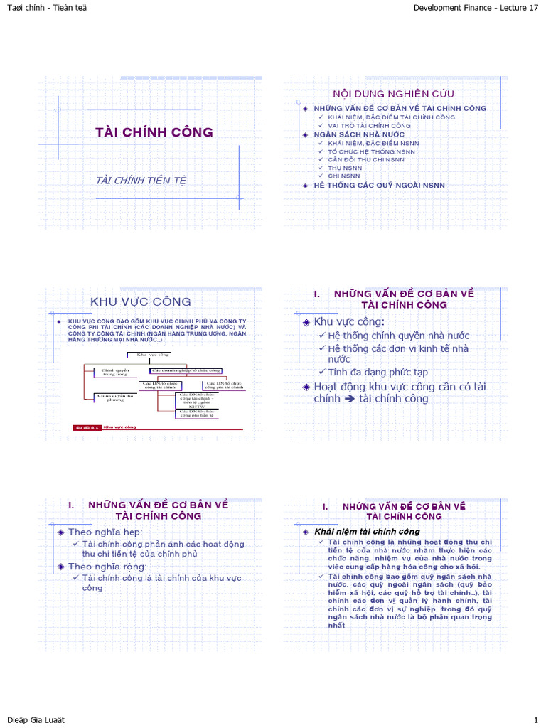 Tai Chinh Cong | PDF