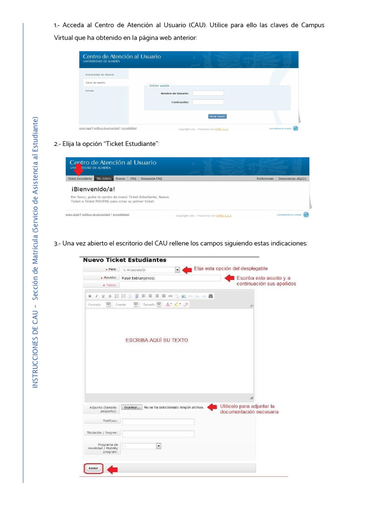 Instrucciones CAU | PDF | Informática | Red mundial