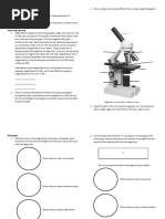 Microscope Use: Letter "E" Lab Guide | PDF | Microscopy | Glass ...