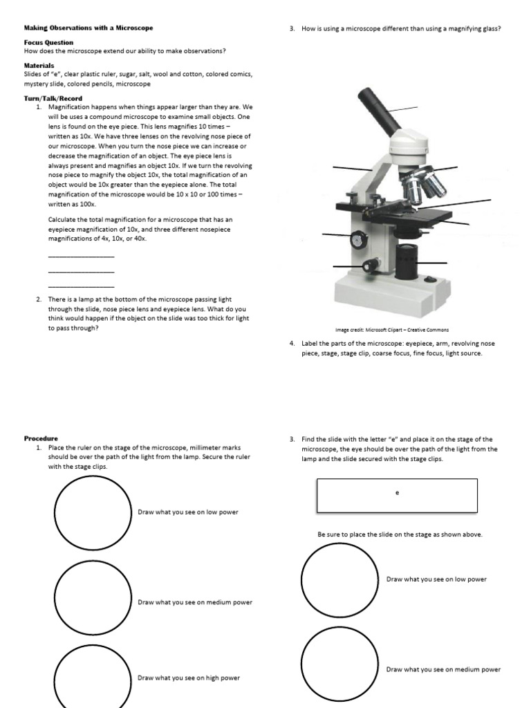 Making Observations With A Microscope | PDF | Vision | Lenses