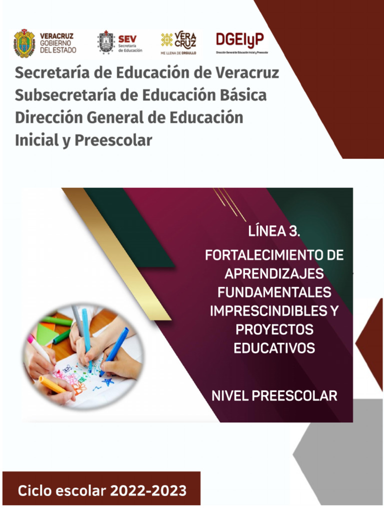 Documento AFI-Proyectos Educativos 171022 | PDF