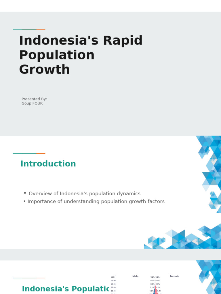 Indonesias Rapid Population Growth | PDF