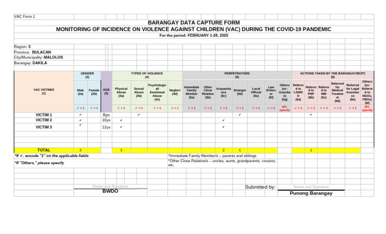 Bulacan VAC Data Capture Form 2025 | PDF | Sexual Violence | Problem ...