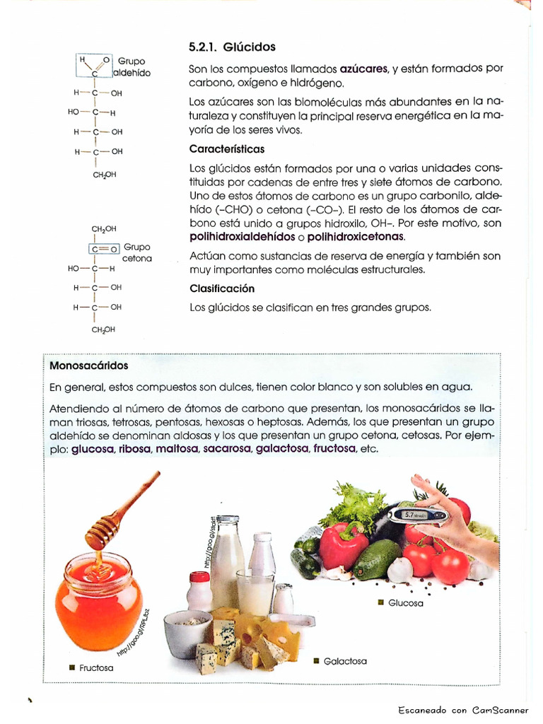 ANYELY | PDF