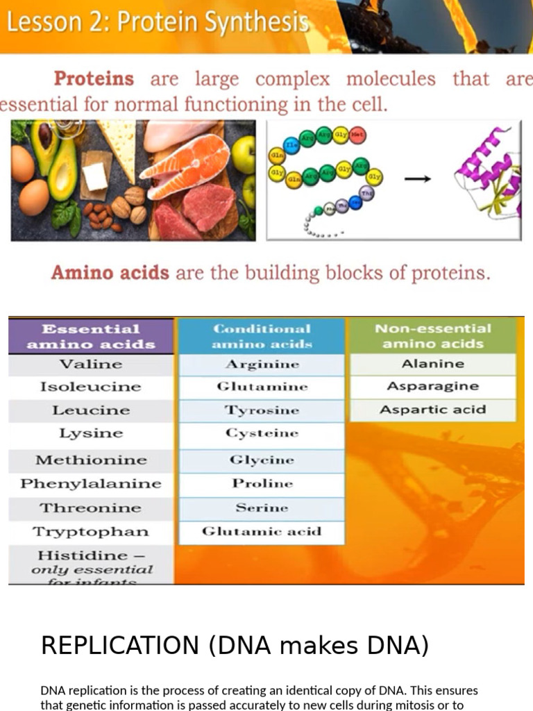 Protein Synthesis Pdf Translation Biology Messenger Rna