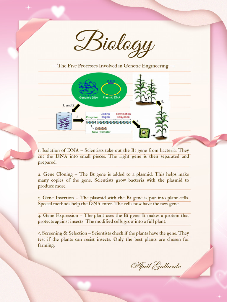 Biology 1 | PDF
