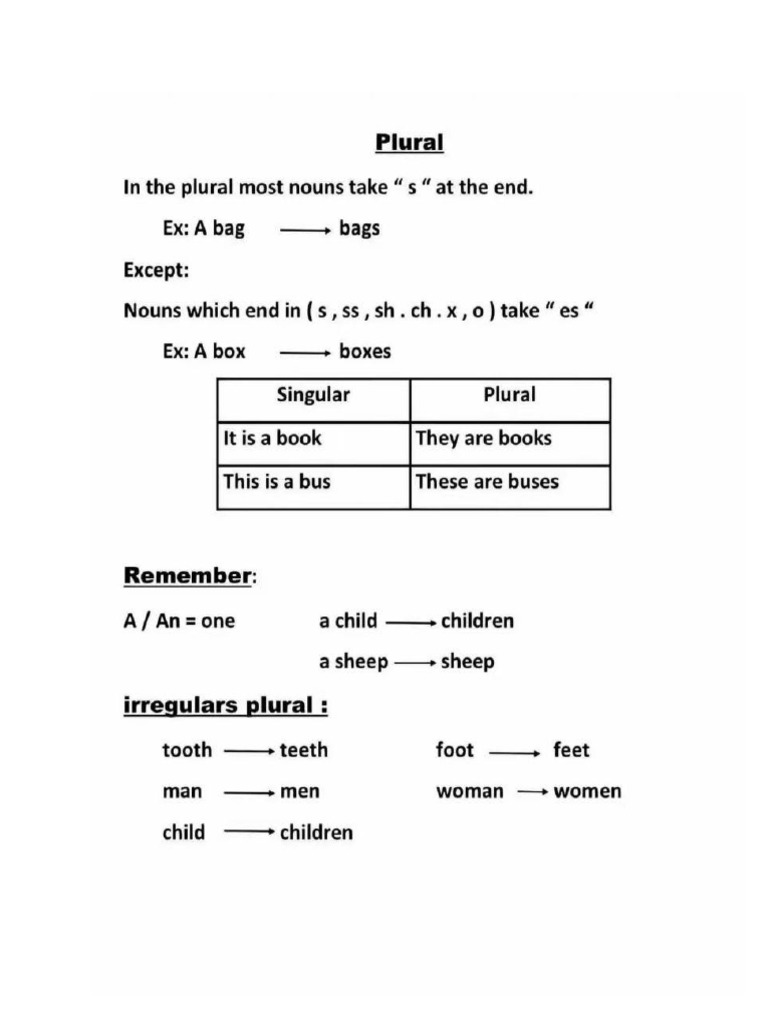 C2 - Plural and Was Were | PDF