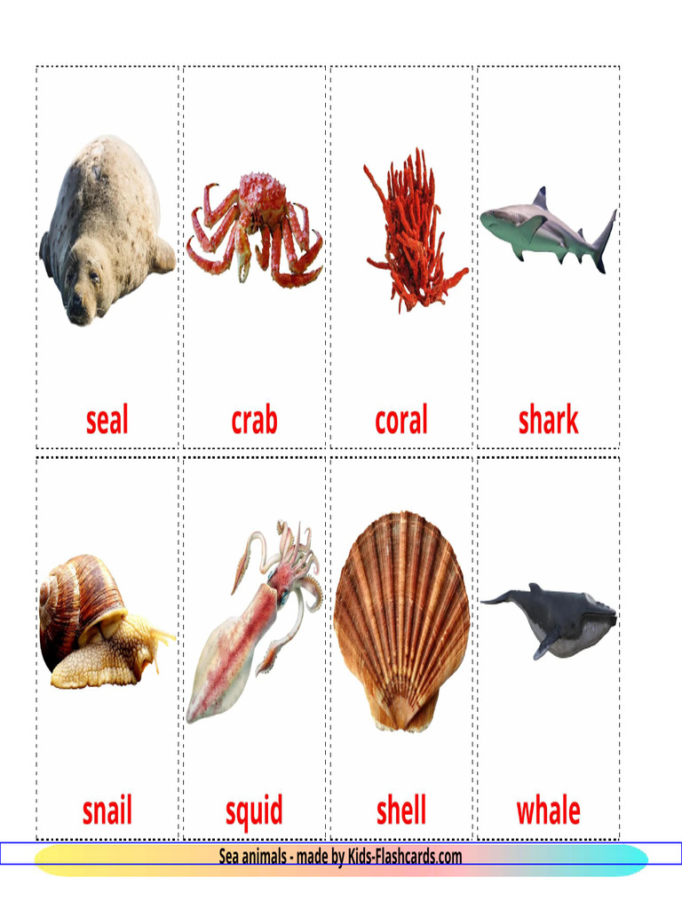 Free Sea Animals Flashcards | PDF