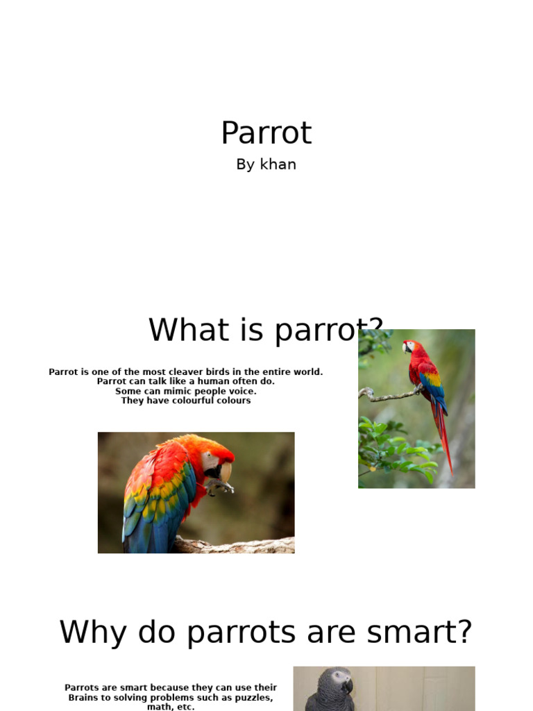 Parrot: by Khan | PDF