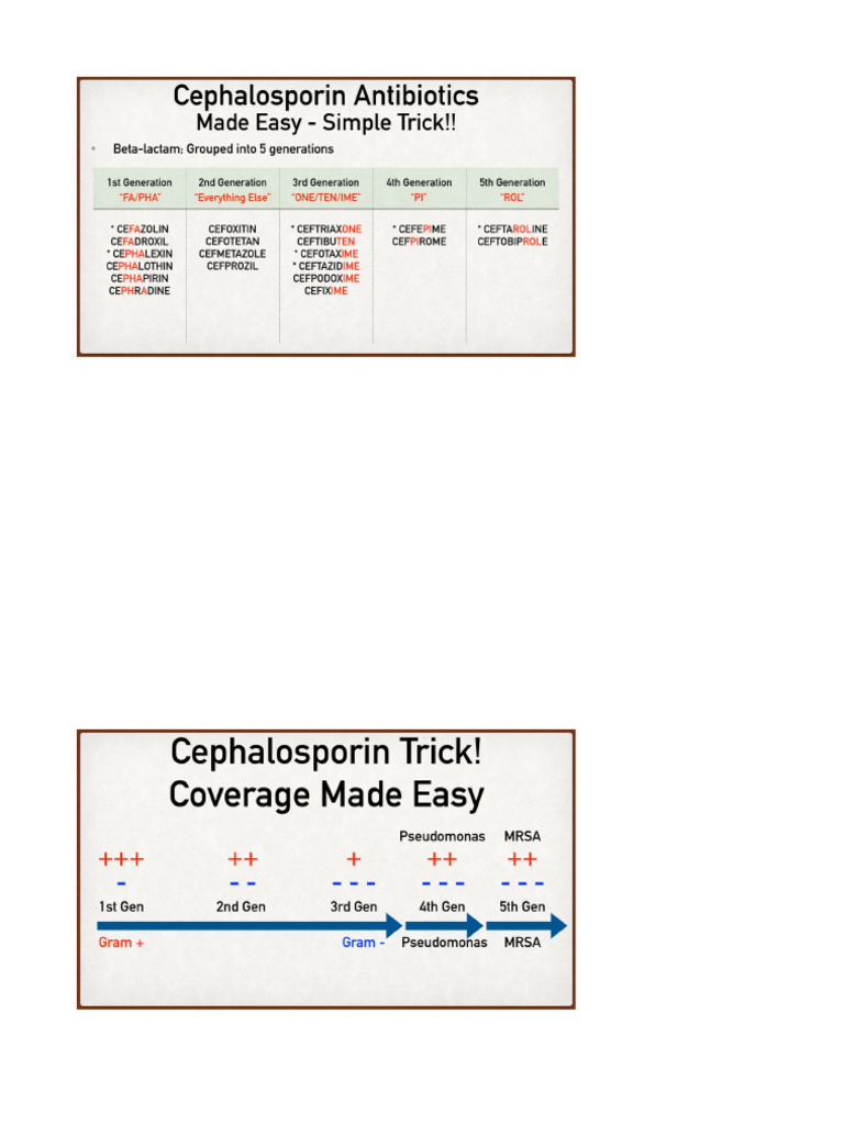 Cephalosporins Pdf