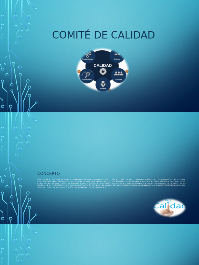 Comité de Calidad en Salud: Funciones y Estructura | PDF | Hospital ...