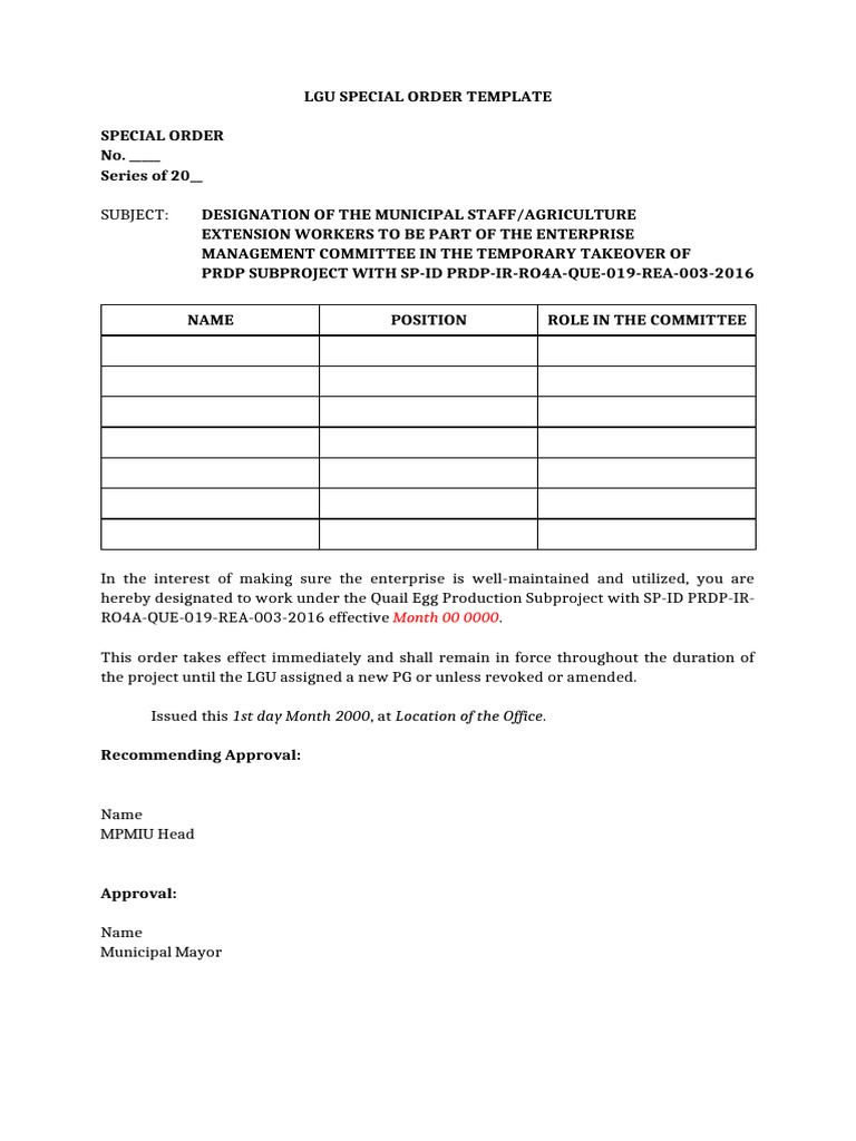 Lgu Special Order Template | PDF