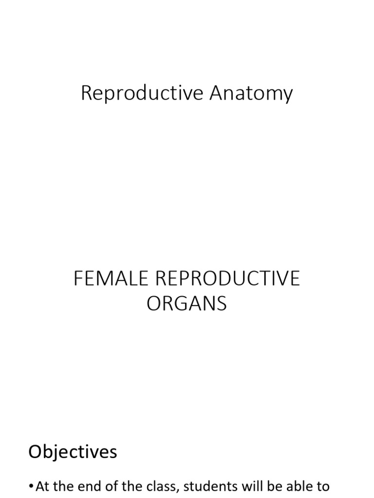 Reproductive Anatomy I Notes | PDF | Menstrual Cycle | Uterus
