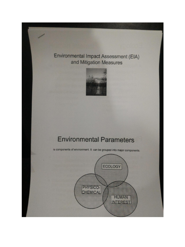 Env 2 Env Impact Assessment & Mitigation Measures | PDF