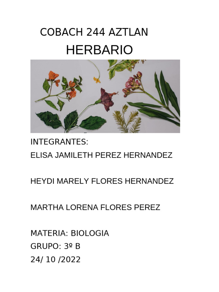 HERBARIO | PDF