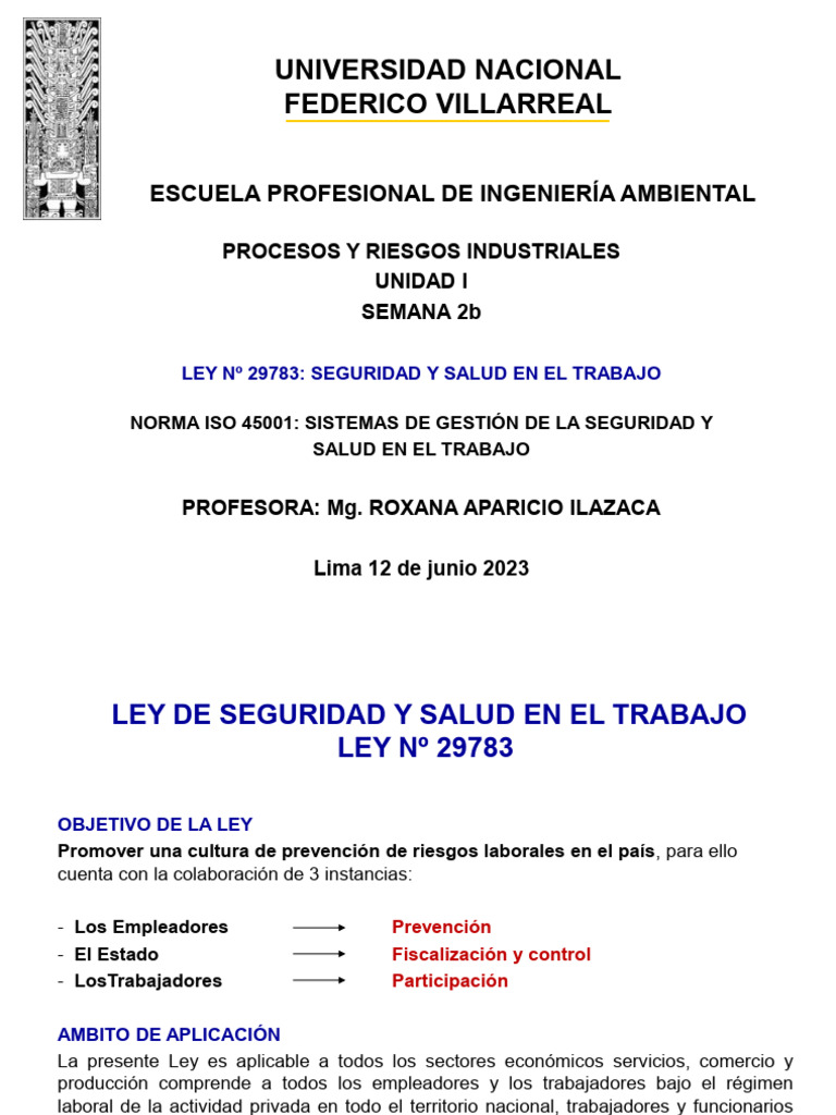 Ley 29783: Seguridad y Salud Laboral | PDF | Seguridad y salud ocupacional | Derecho laboral
