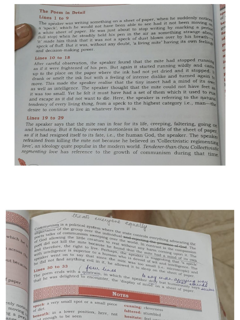 A Considerable Speck | PDF