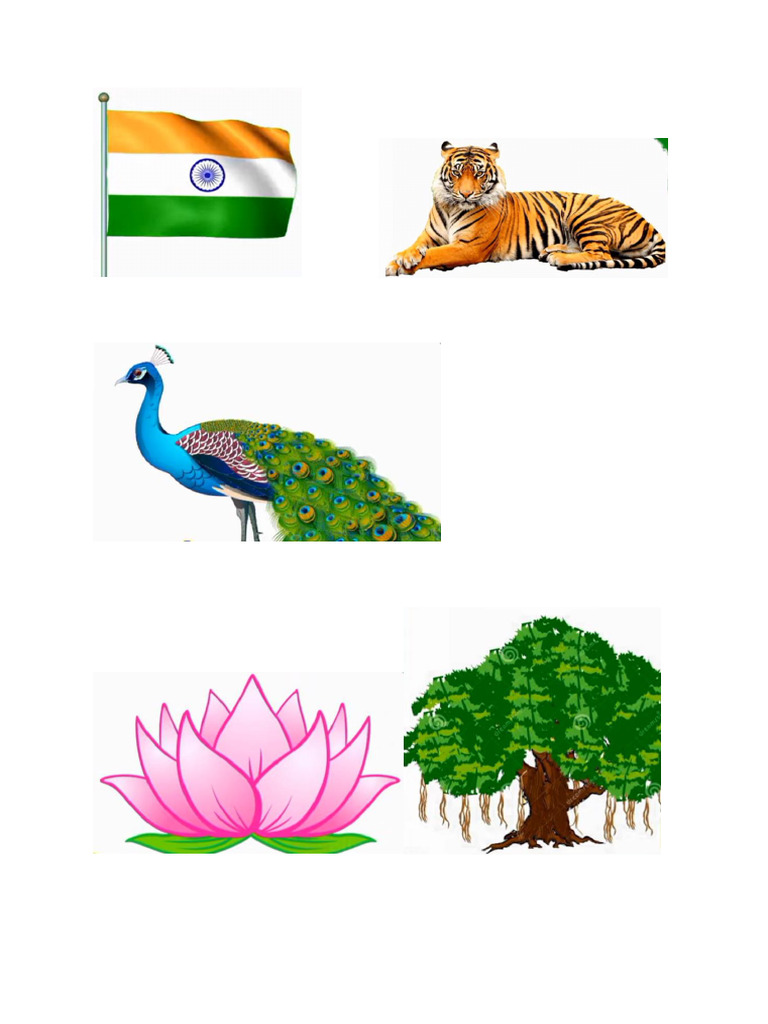 National Symbol | PDF