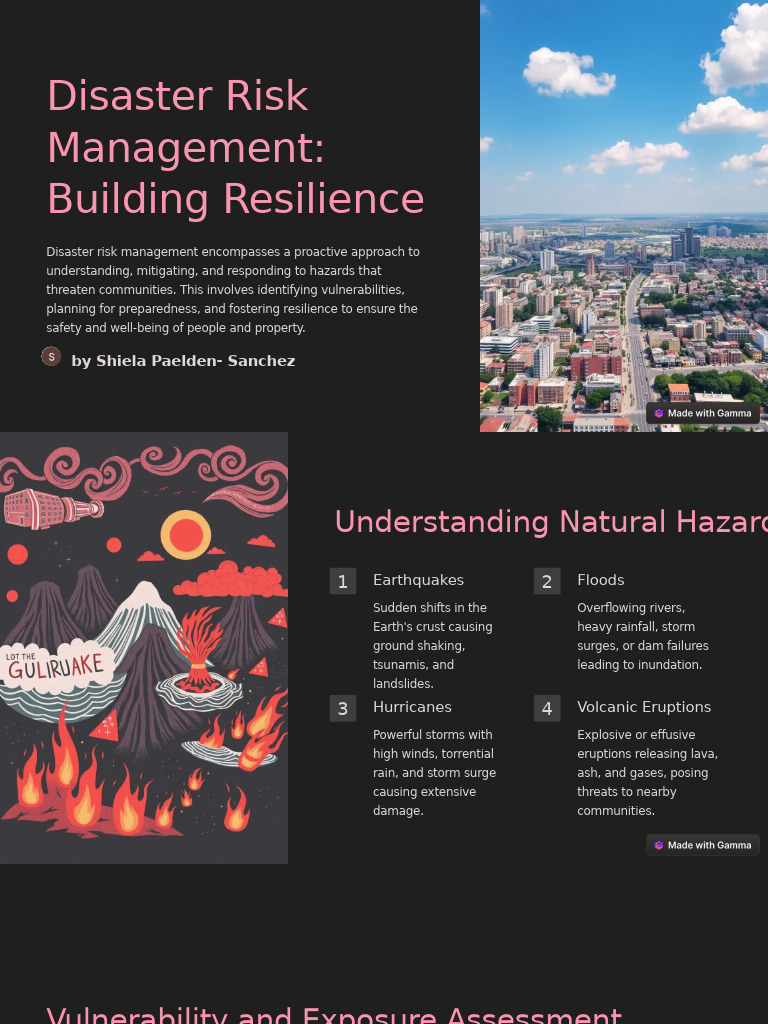 Disaster Risk Management Building Resilience | PDF | Natural Disasters ...