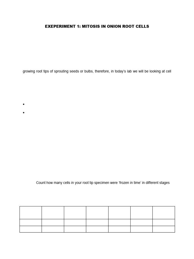 Lab Manual - Mitosis in An Onion Root Cell | PDF