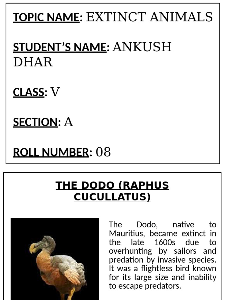 Extinct Animals: Dodo & Woolly Mammoth | PDF