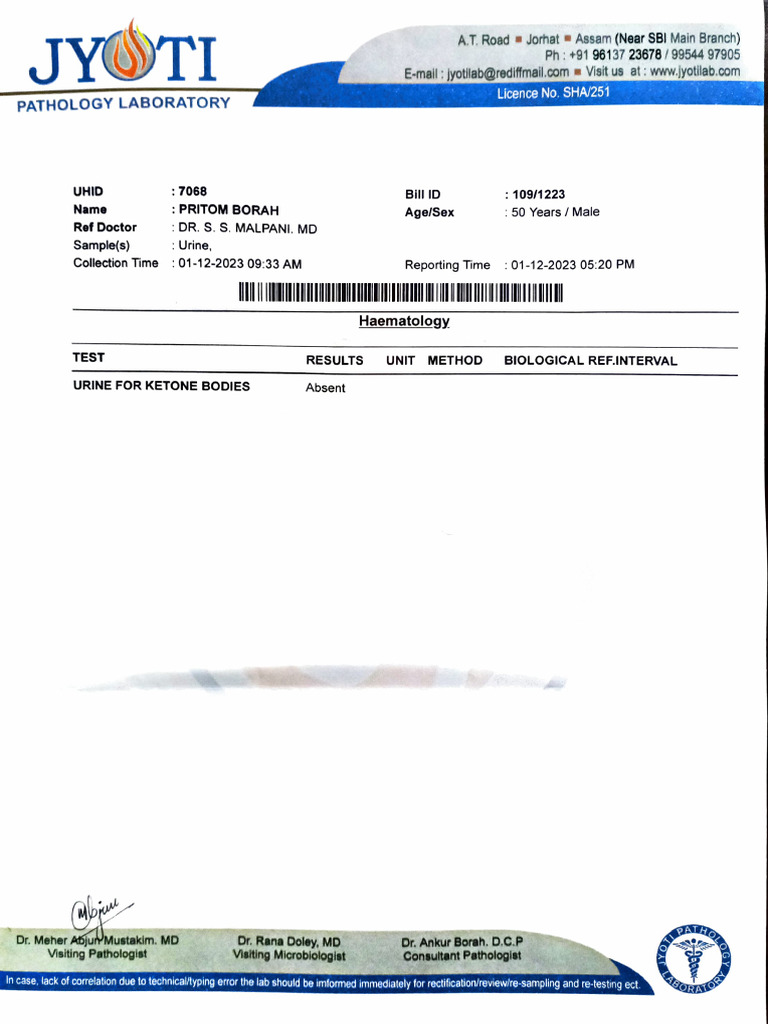Urine Ketone Bodies Test Result | PDF