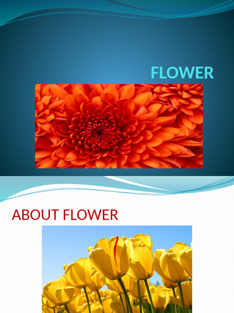 Flower Write | PDF