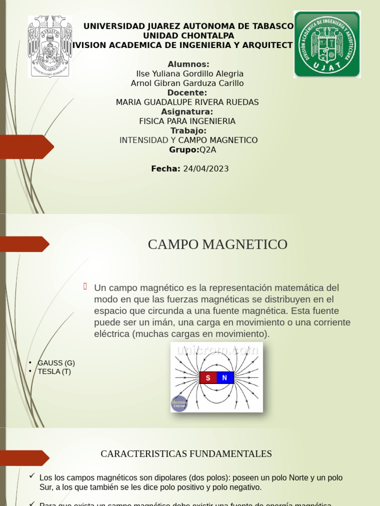 Campo Magnetico. | PDF | Campo magnético | Electromagnetismo