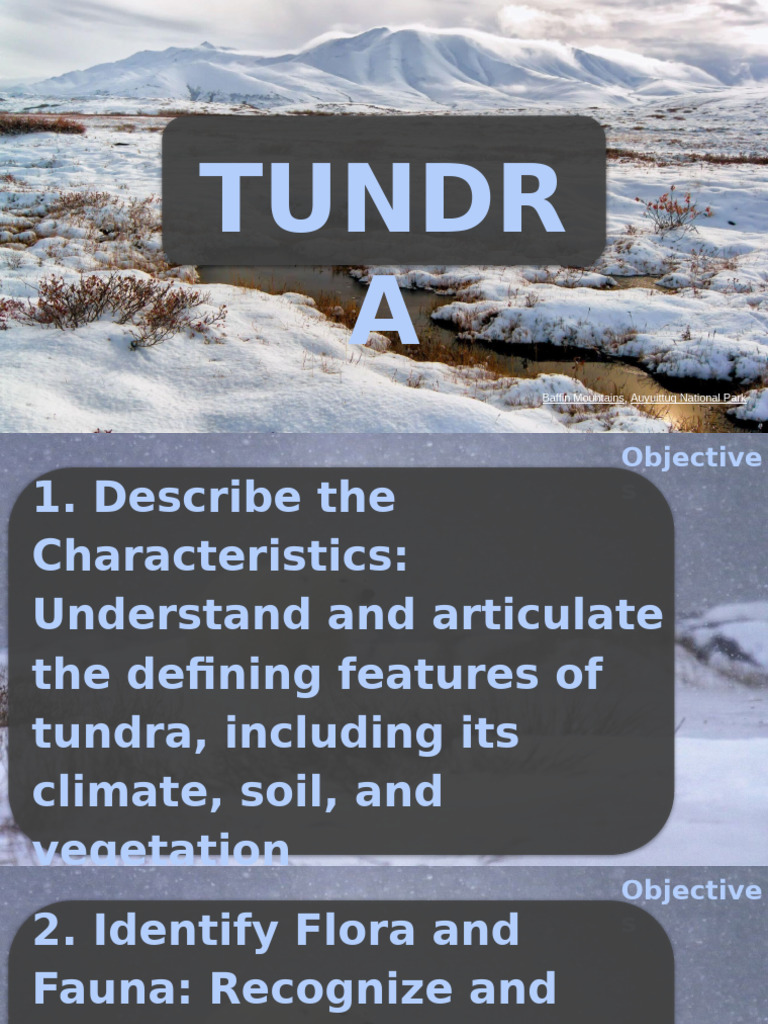 Understanding Tundra: Definition & Features | PDF | Earth Sciences ...
