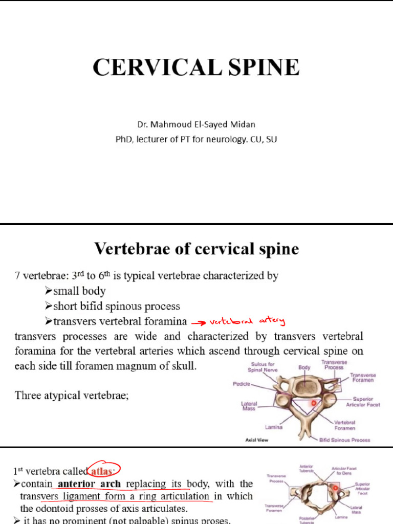 L7 Cervical Spine Assessment | PDF | Anatomical Terms Of Motion | Shoulder