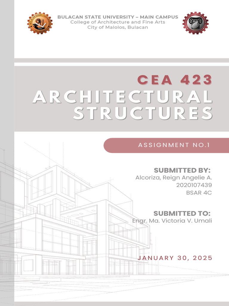 BSAR 4C Assignment Submission 2025 | PDF