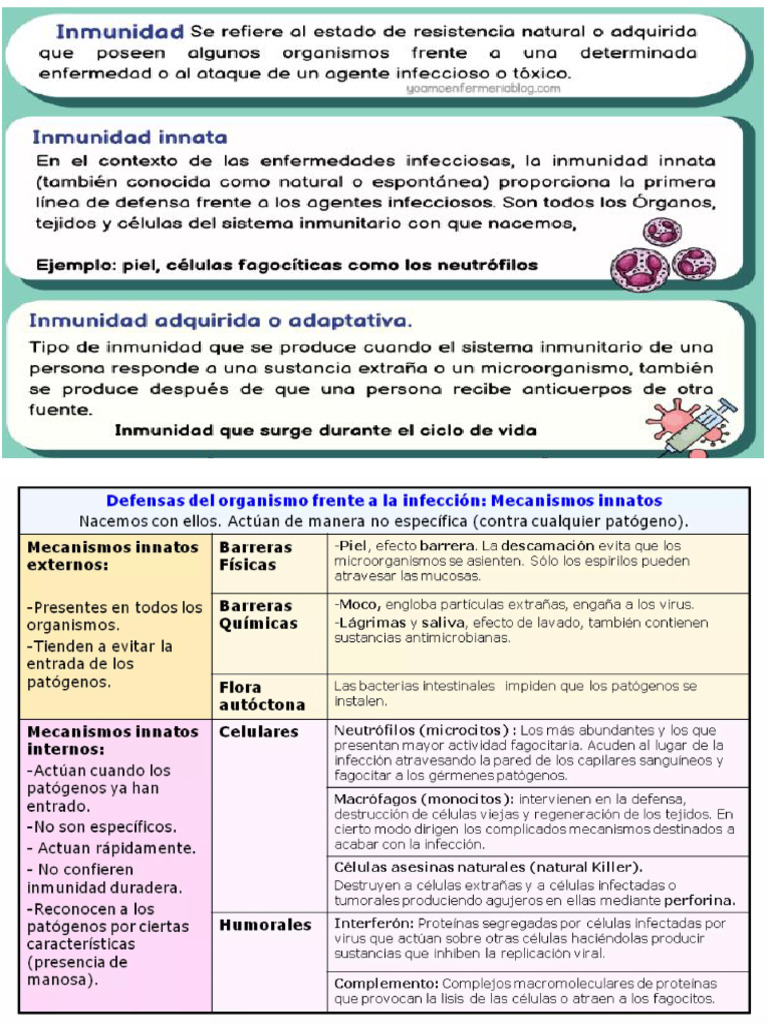 Sistema Inmunológico | PDF