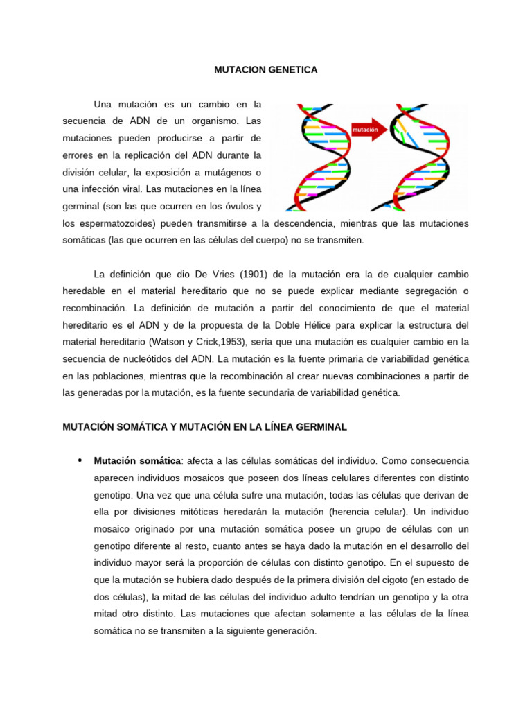 Tipos y Efectos de Mutaciones Genéticas | PDF | Mutación | Adn