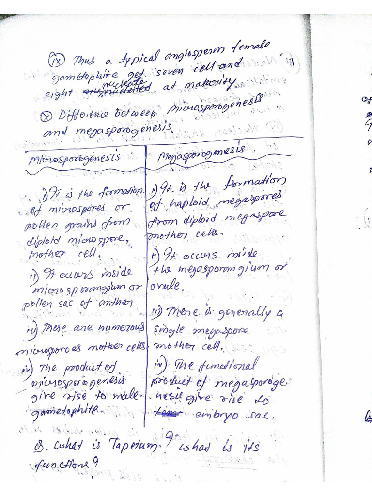 Classnotes 2 | PDF