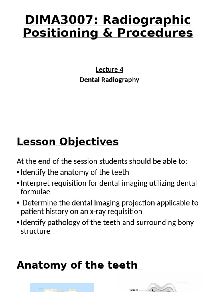 DIMA 3007 RPP Lecture 4 Dentals (12) | PDF | Tooth | Dental Anatomy