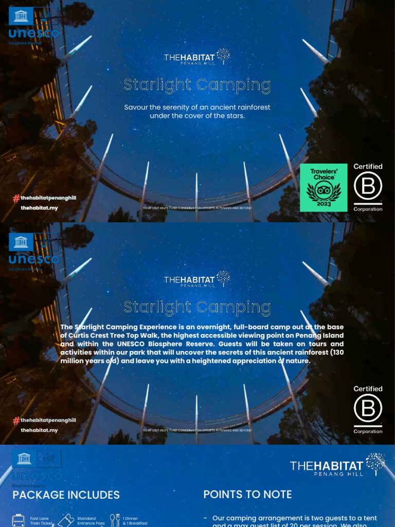 Starlight Camping Experience | PDF