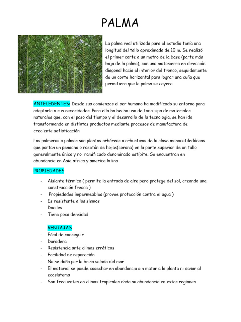 Ficha Tecnica Palma | PDF