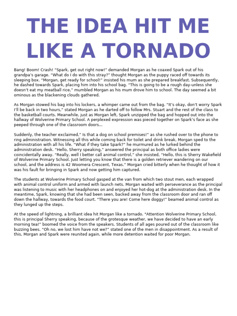 Tornado of Ideas at School | PDF