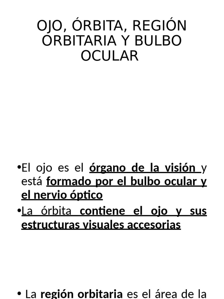 Ojo, Órbita, Región Orbitaria y Bulbo | PDF | Anatomía humana | Cabeza ...
