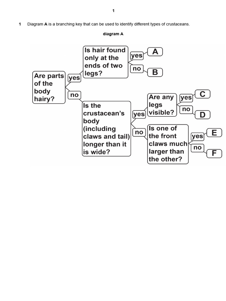 Dichotomous Keys | PDF | Arthropods | Paleozoic First Appearances