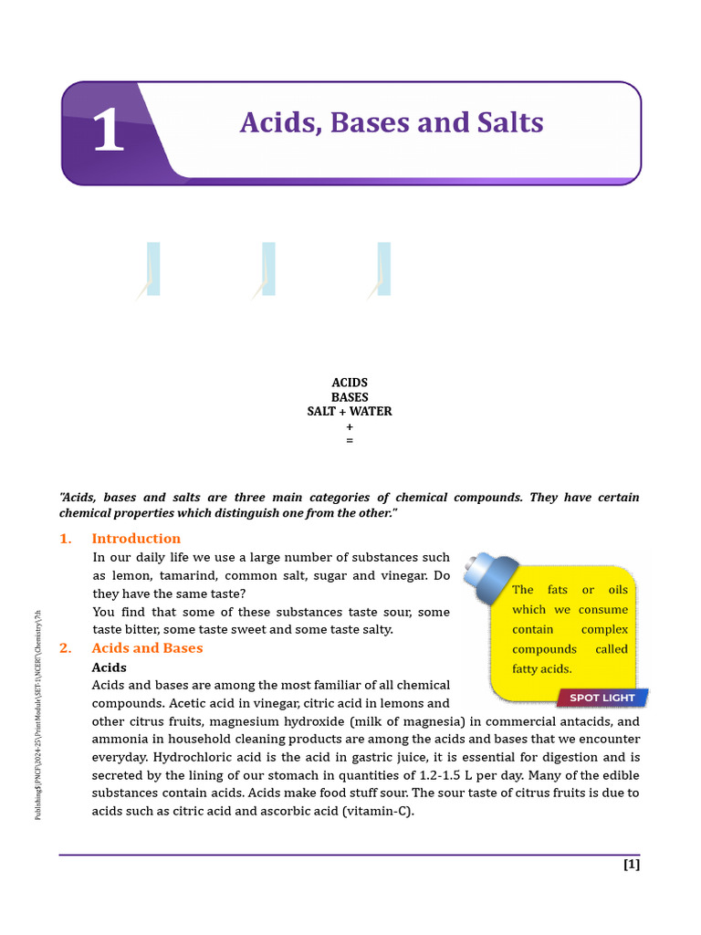 Acids Bases and Salts Theory | PDF | Acid | Taste
