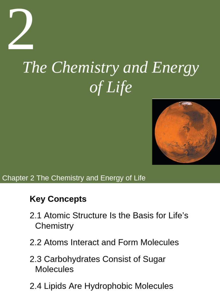 Chapter 2 - The Chemistry and Energy of Life | PDF | Carbohydrates | Lipid